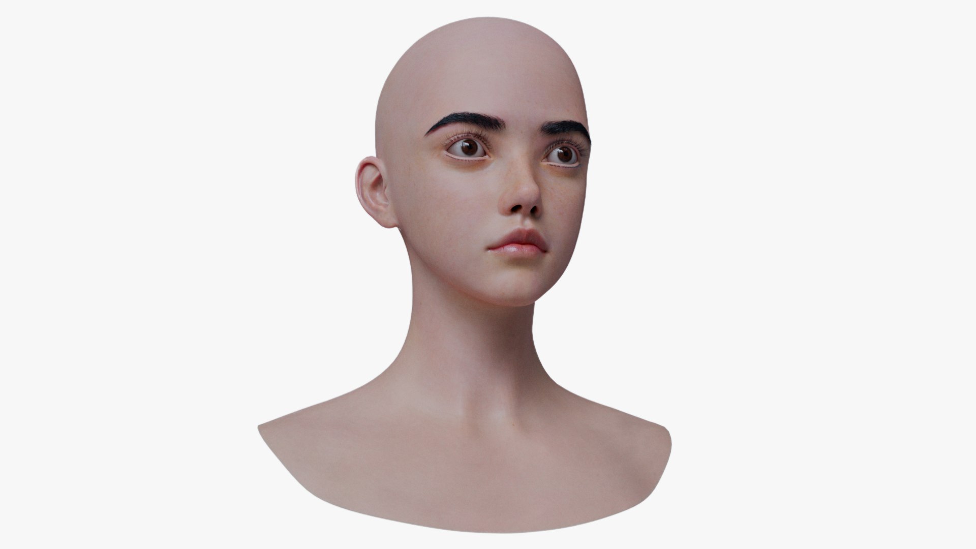 Asian Female Head Base Mesh Metahuman Topology V4 Model - TurboSquid ...