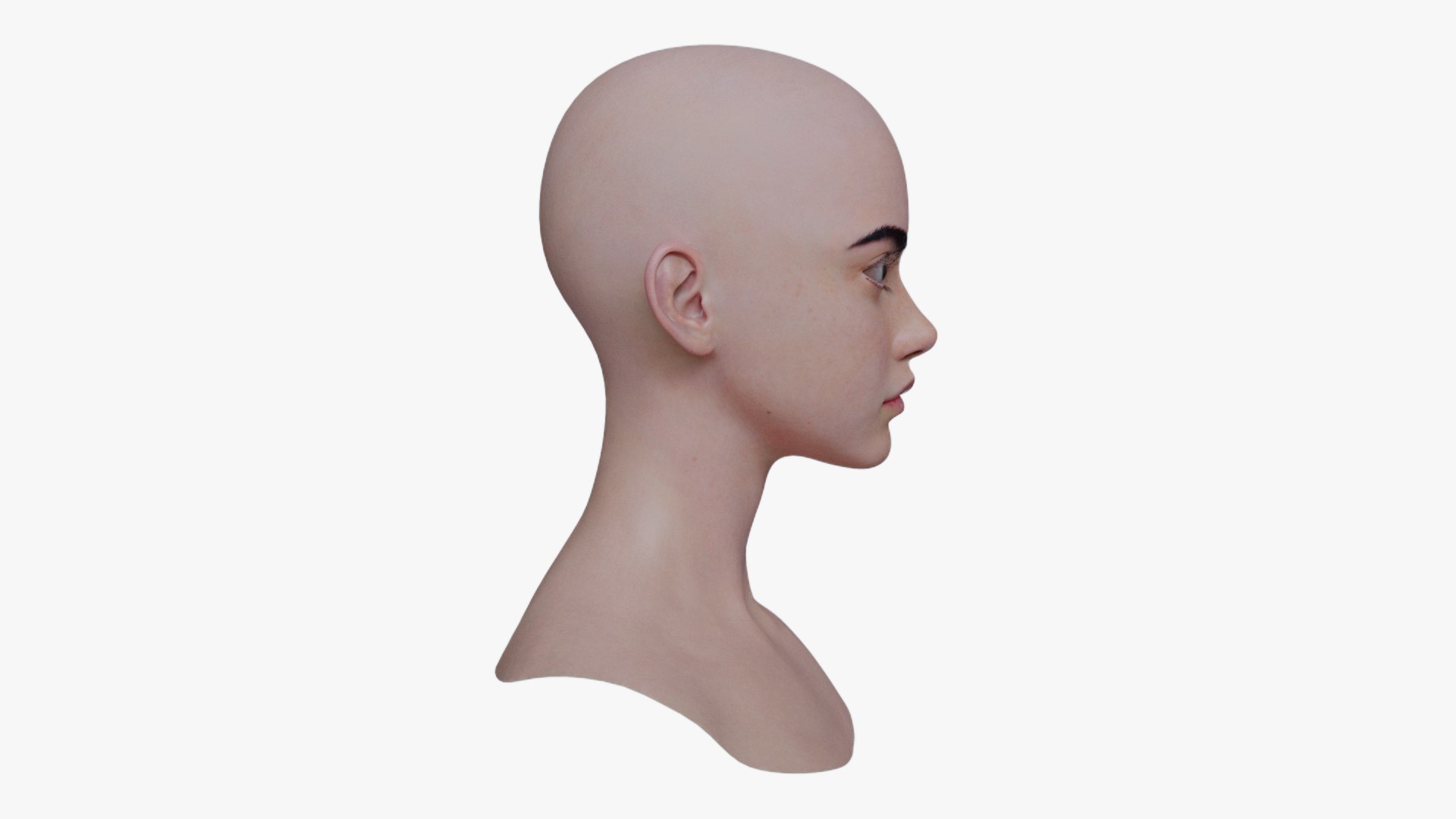 Asian Female Head Base Mesh Metahuman Topology V4 Model - TurboSquid ...