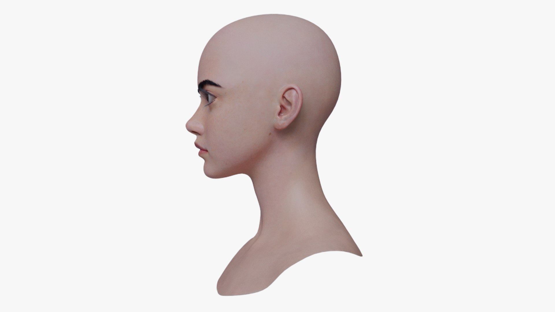 Asian Female Head Base Mesh Metahuman Topology V4 Model - TurboSquid ...
