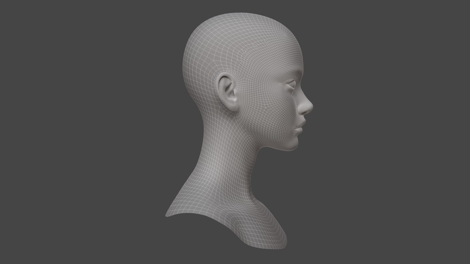 Asian Female Head Base Mesh Metahuman Topology V4 Model - TurboSquid ...