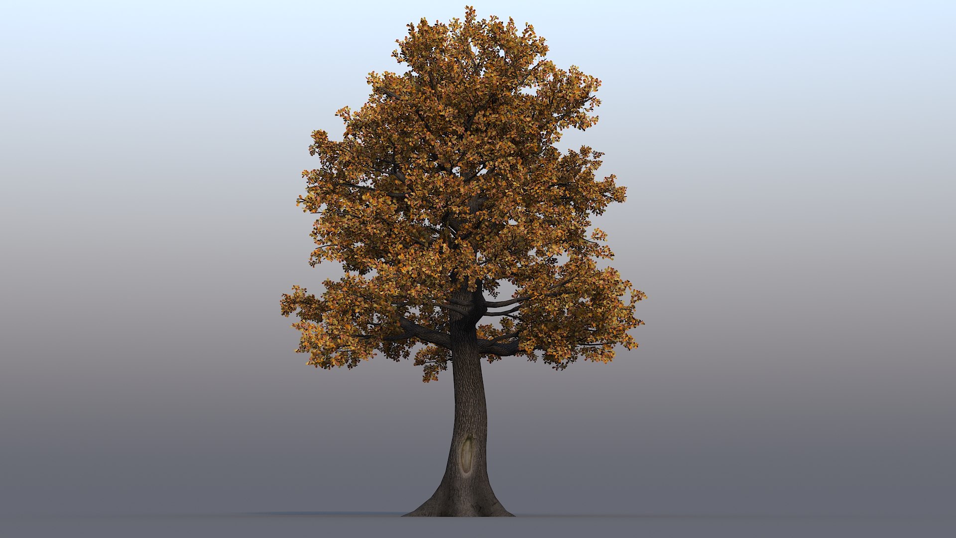 Oak Tree 03 3D Model - TurboSquid 1625020