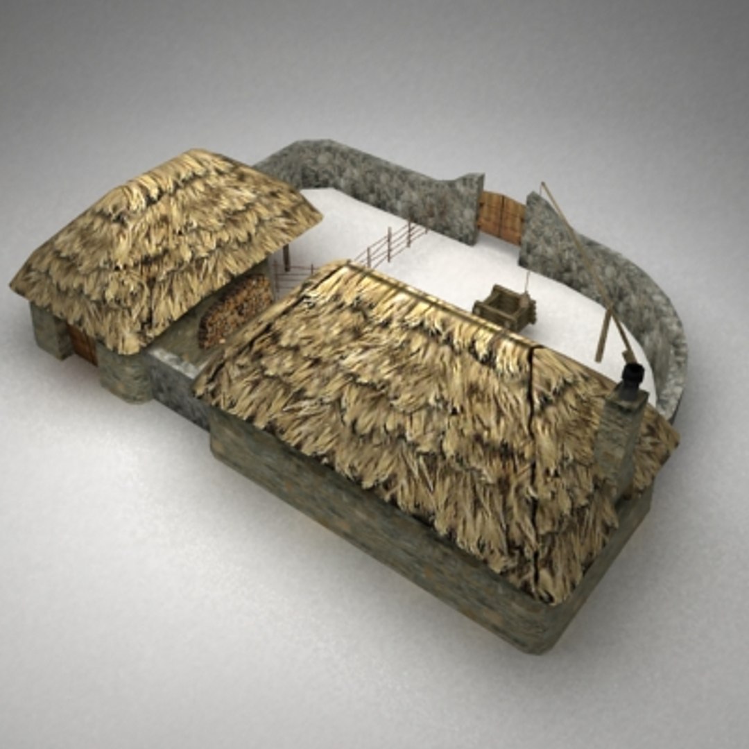 Village House 3d Model