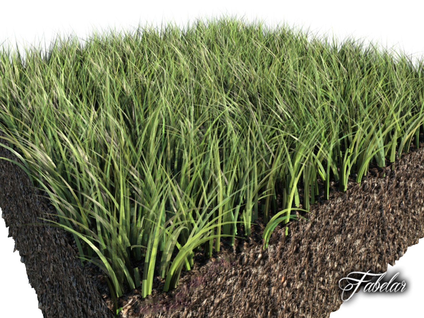 3d Model Grass Patch