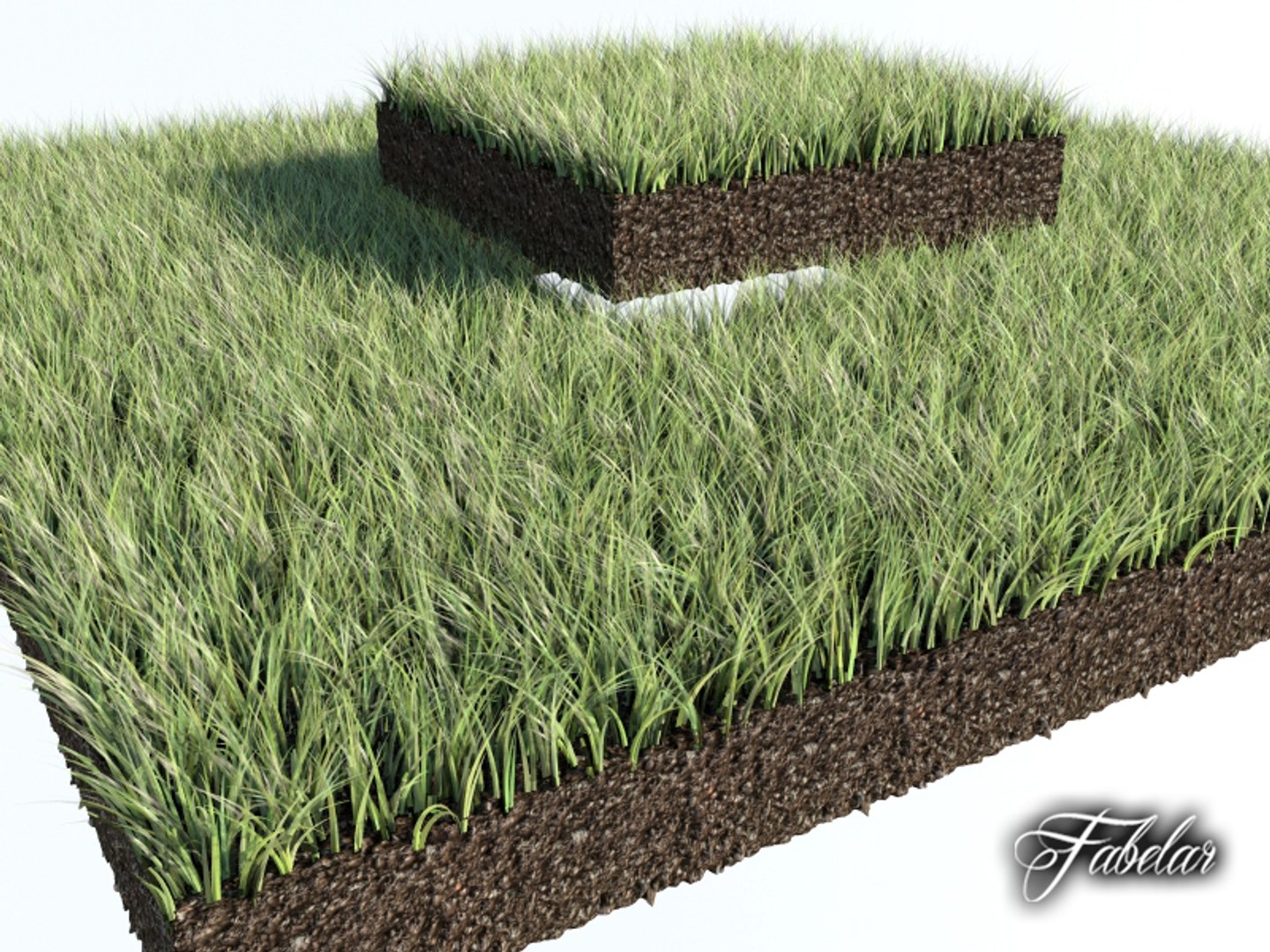 3d Model Grass Patch