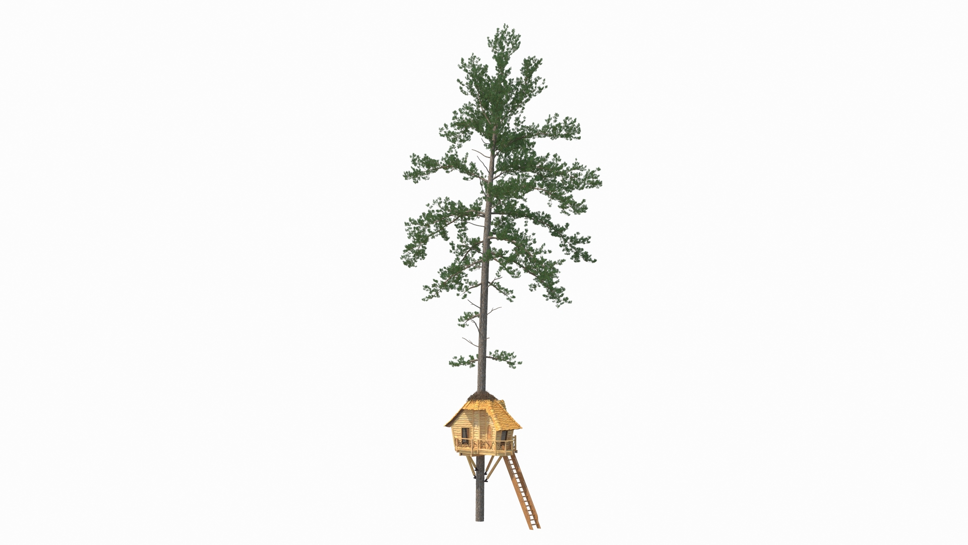 Tree House With One Pine 3D Model - TurboSquid 2101947