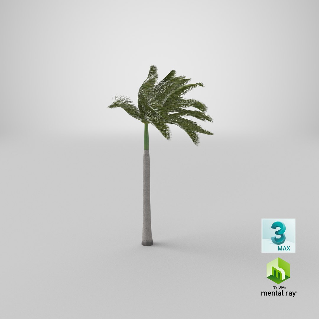 3D Model Royal Strong Wind - TurboSquid 1631043