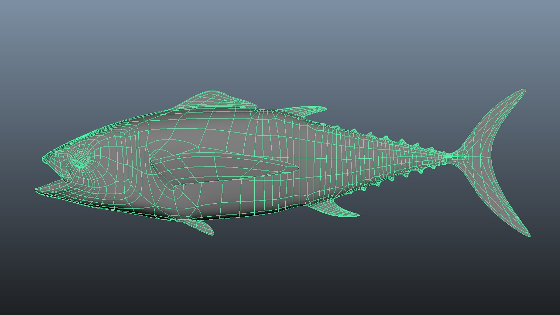 3D Saltwater Fish Collection 28 - TurboSquid 1837876