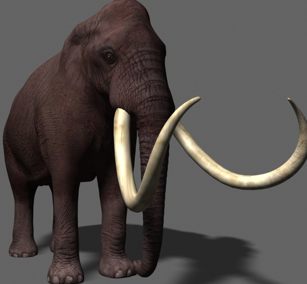 3d Mammoth Animation