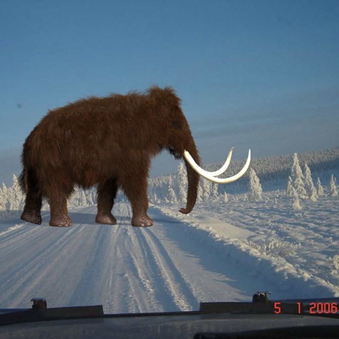 3d Mammoth Animation