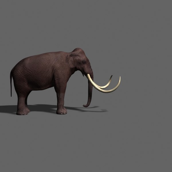 3d mammoth animation