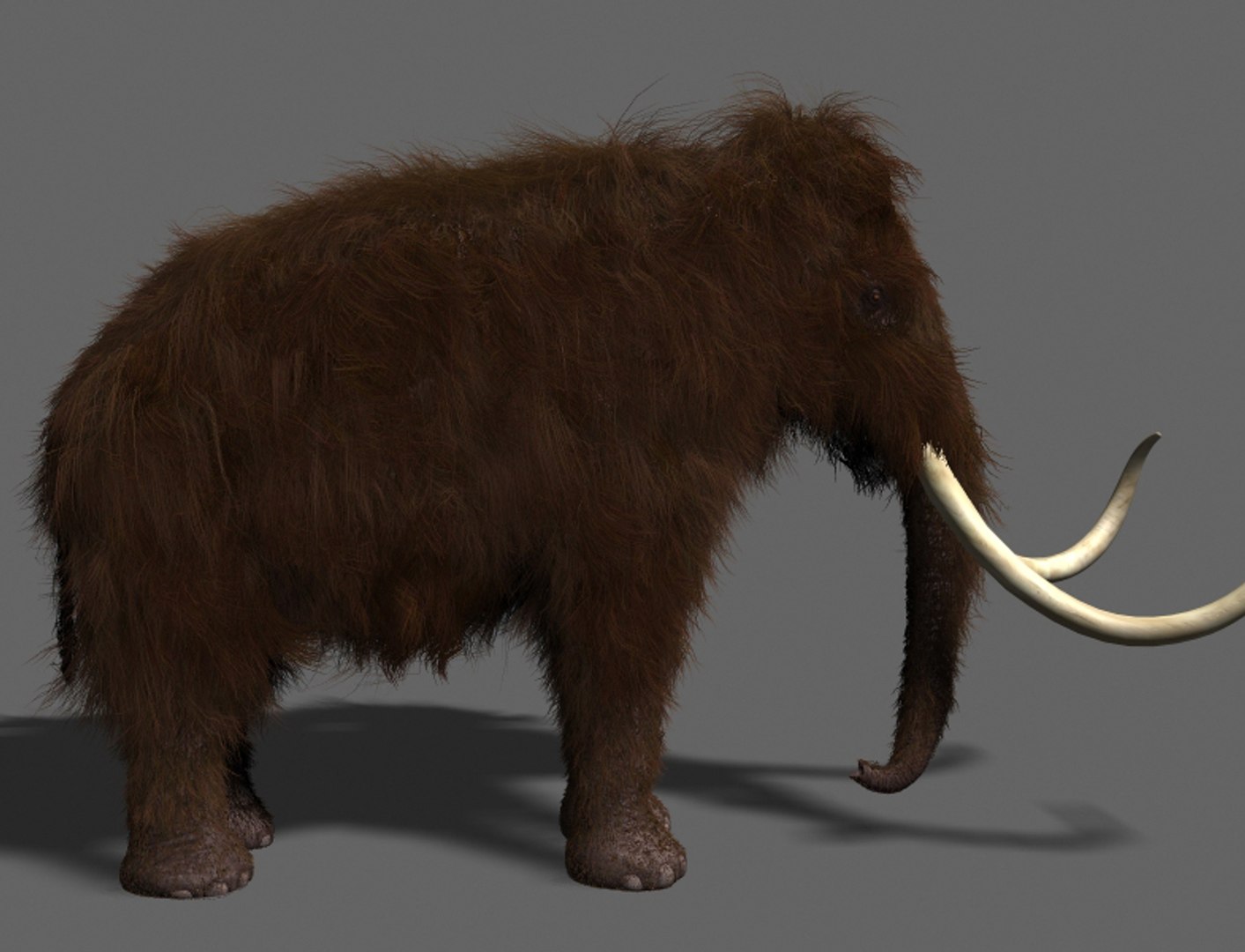 3d Mammoth Animation