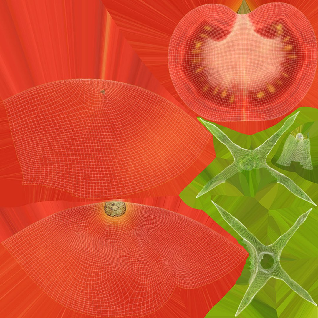 3D Tomato Collection 3 - TurboSquid 2392882