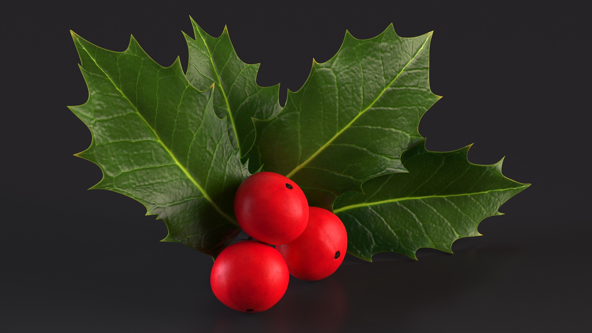 3D Berry Branches Collection 4 - TurboSquid 2108471