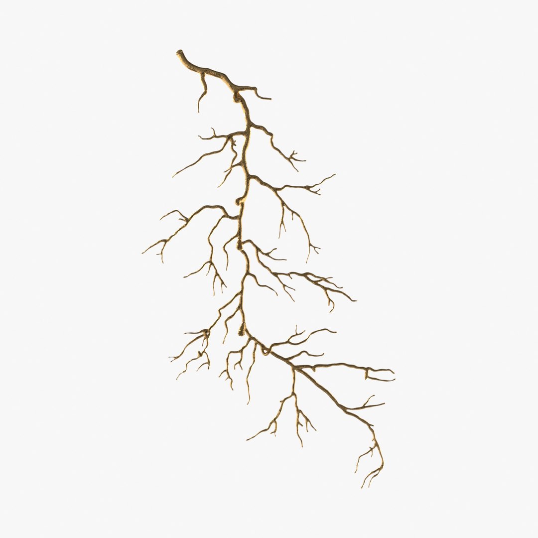 3d Model Gold Twig Branch Wall