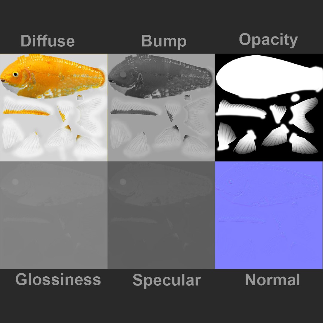 Kigoi Koi Fish Rigged 3D Model - TurboSquid 1504765