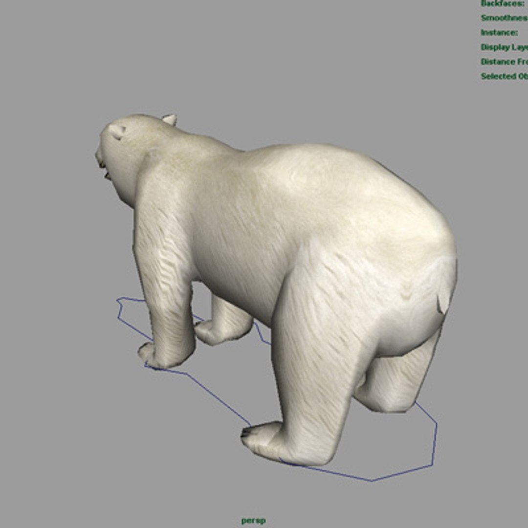 3d Rigged Bear