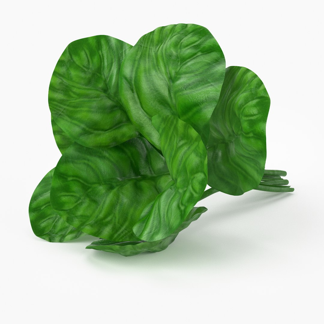 C4d Realistic Spinach Real