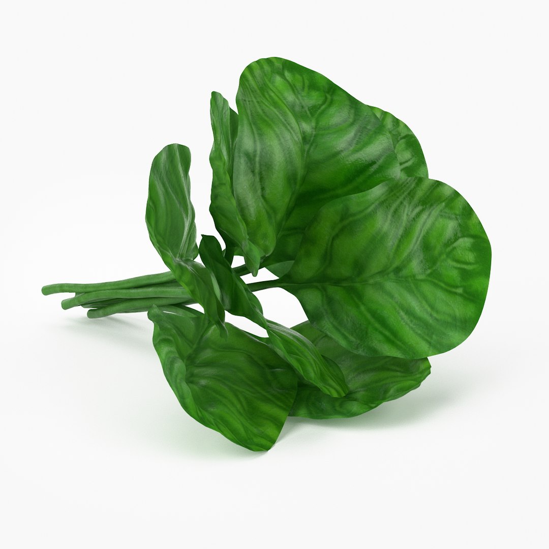 C4d Realistic Spinach Real