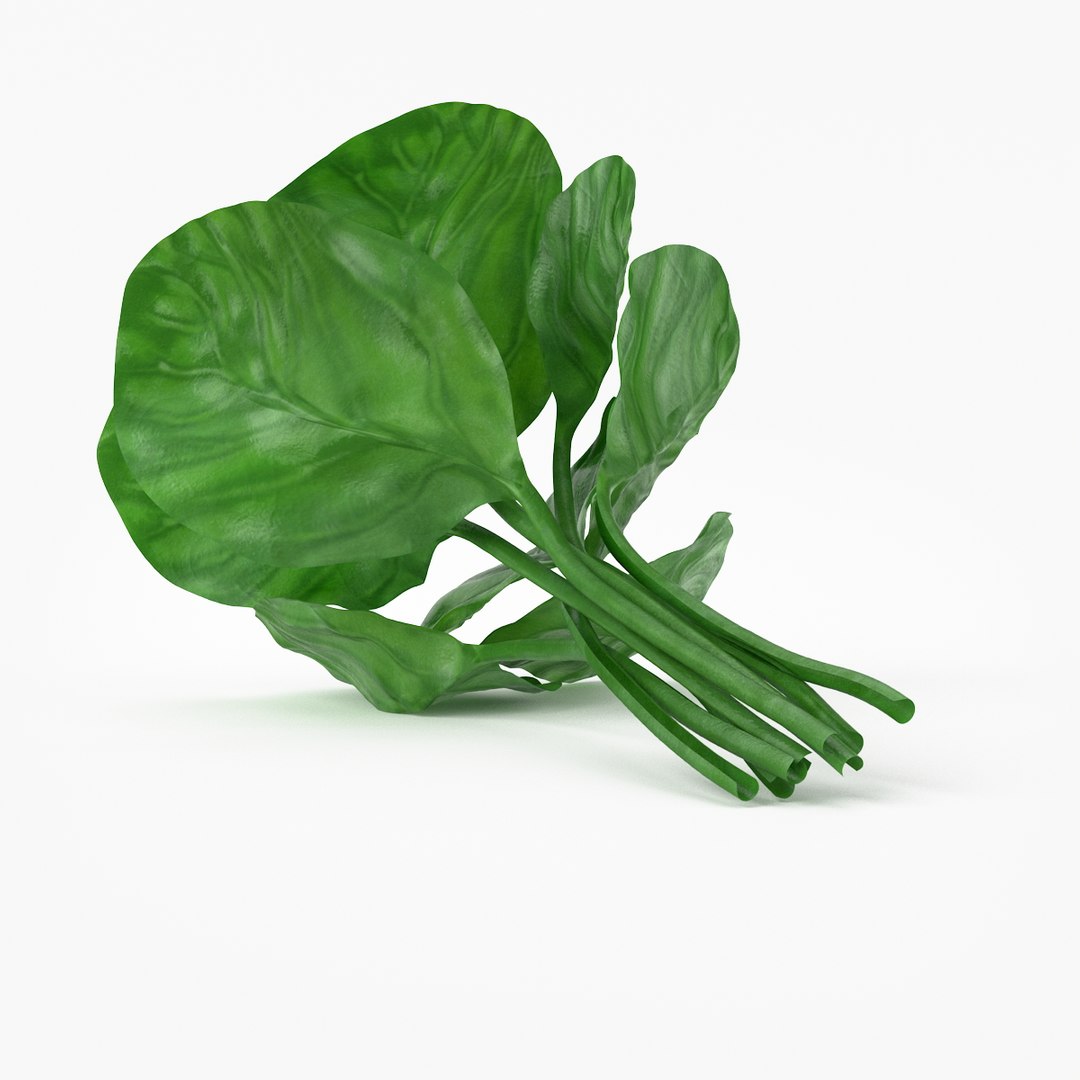 C4d Realistic Spinach Real