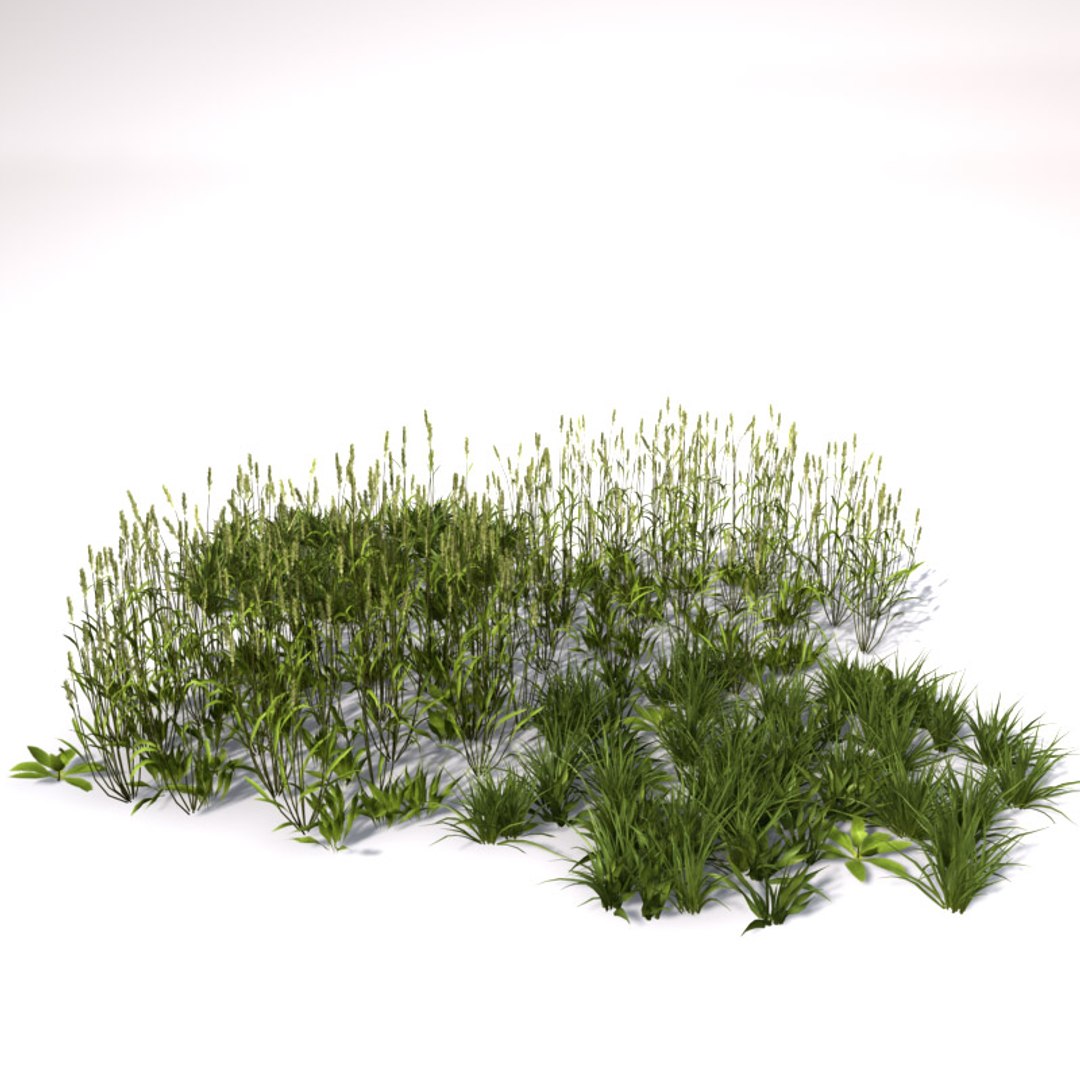 3d grass natural model