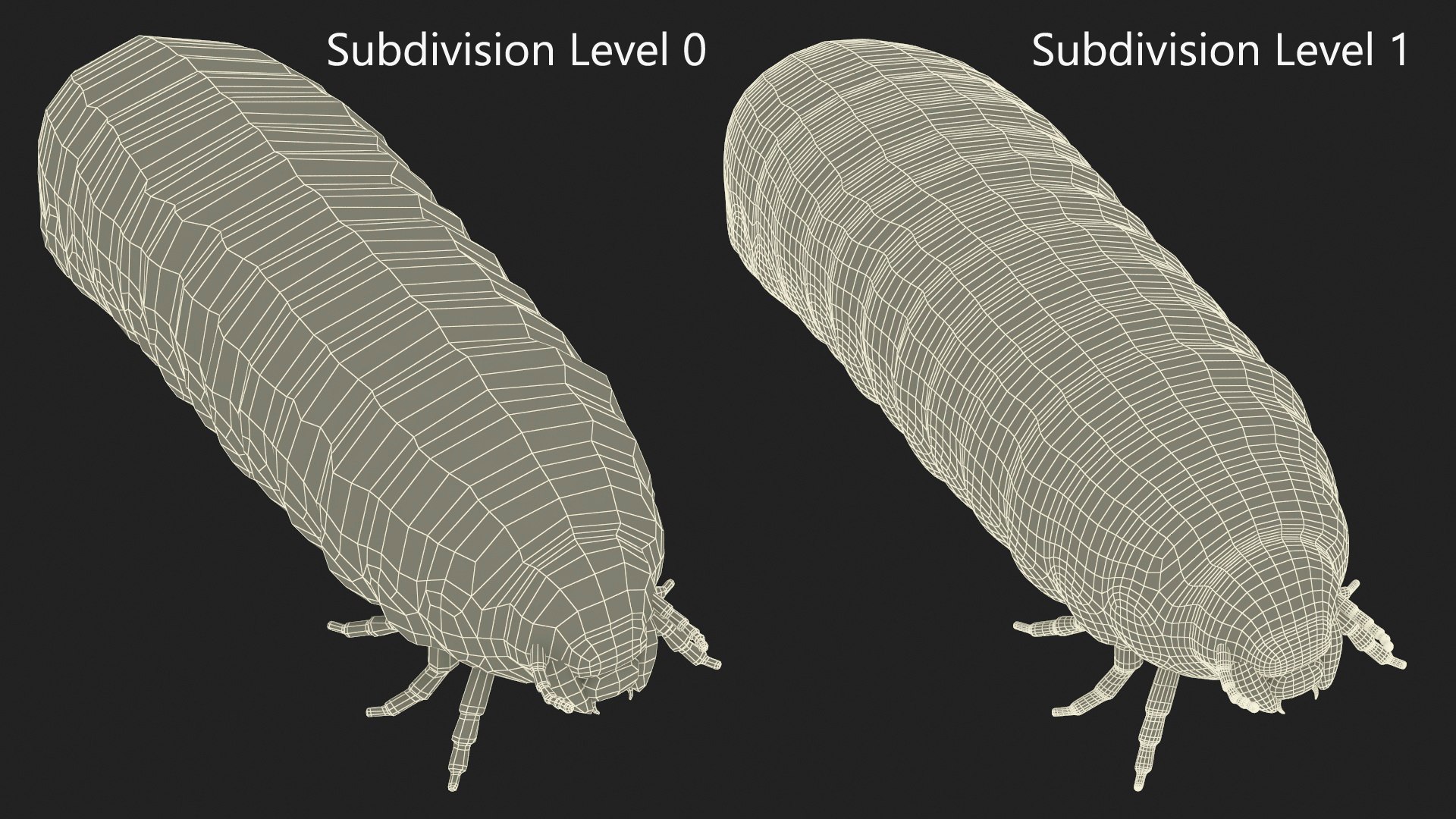 Maggot May Bug Fur 3D - TurboSquid 2164627