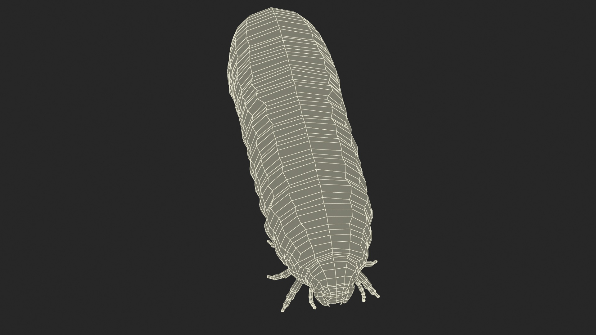 Maggot May Bug Fur 3D - TurboSquid 2164627