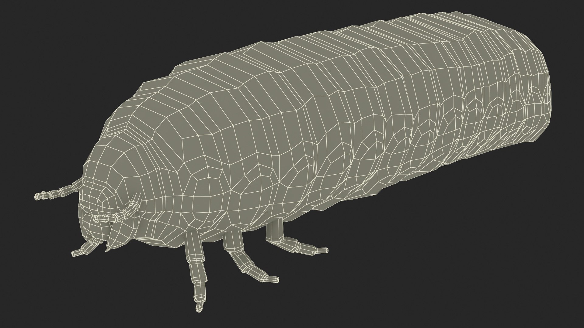 Maggot May Bug Fur 3D - TurboSquid 2164627