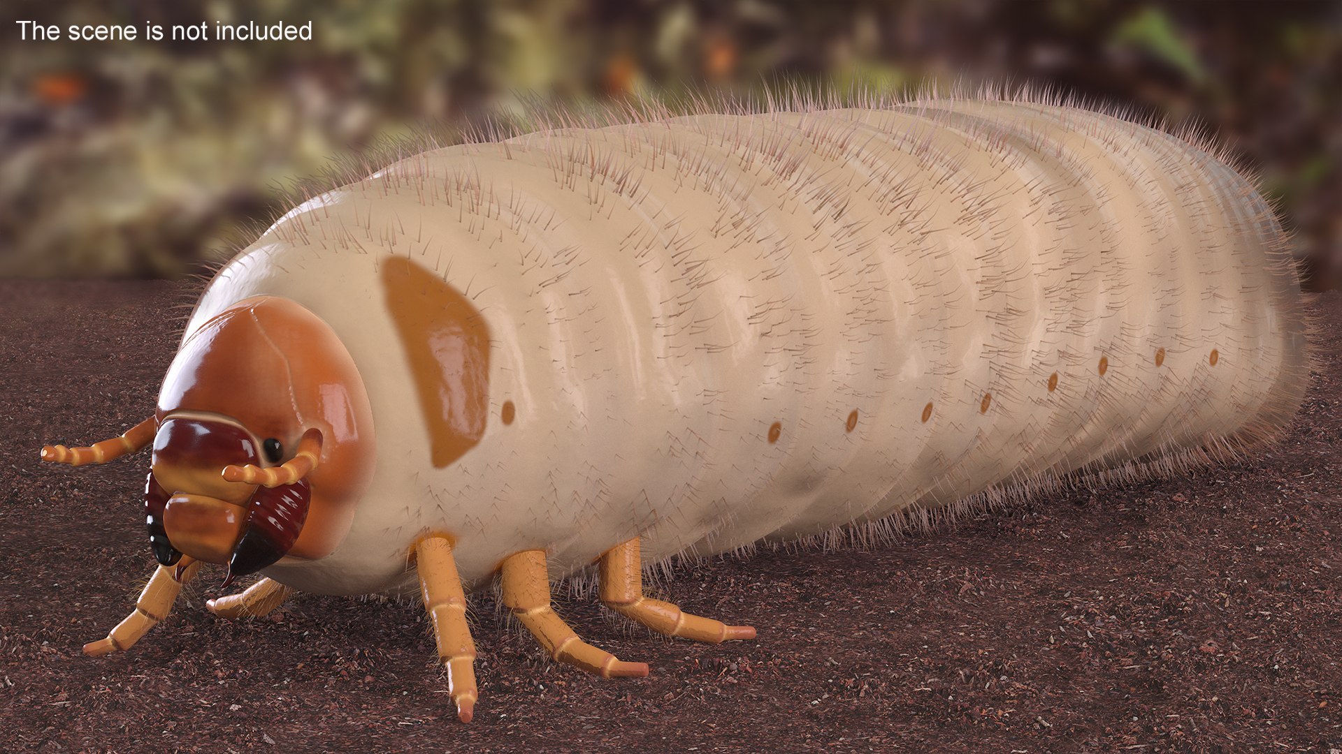 Maggot May Bug Fur 3D - TurboSquid 2164627