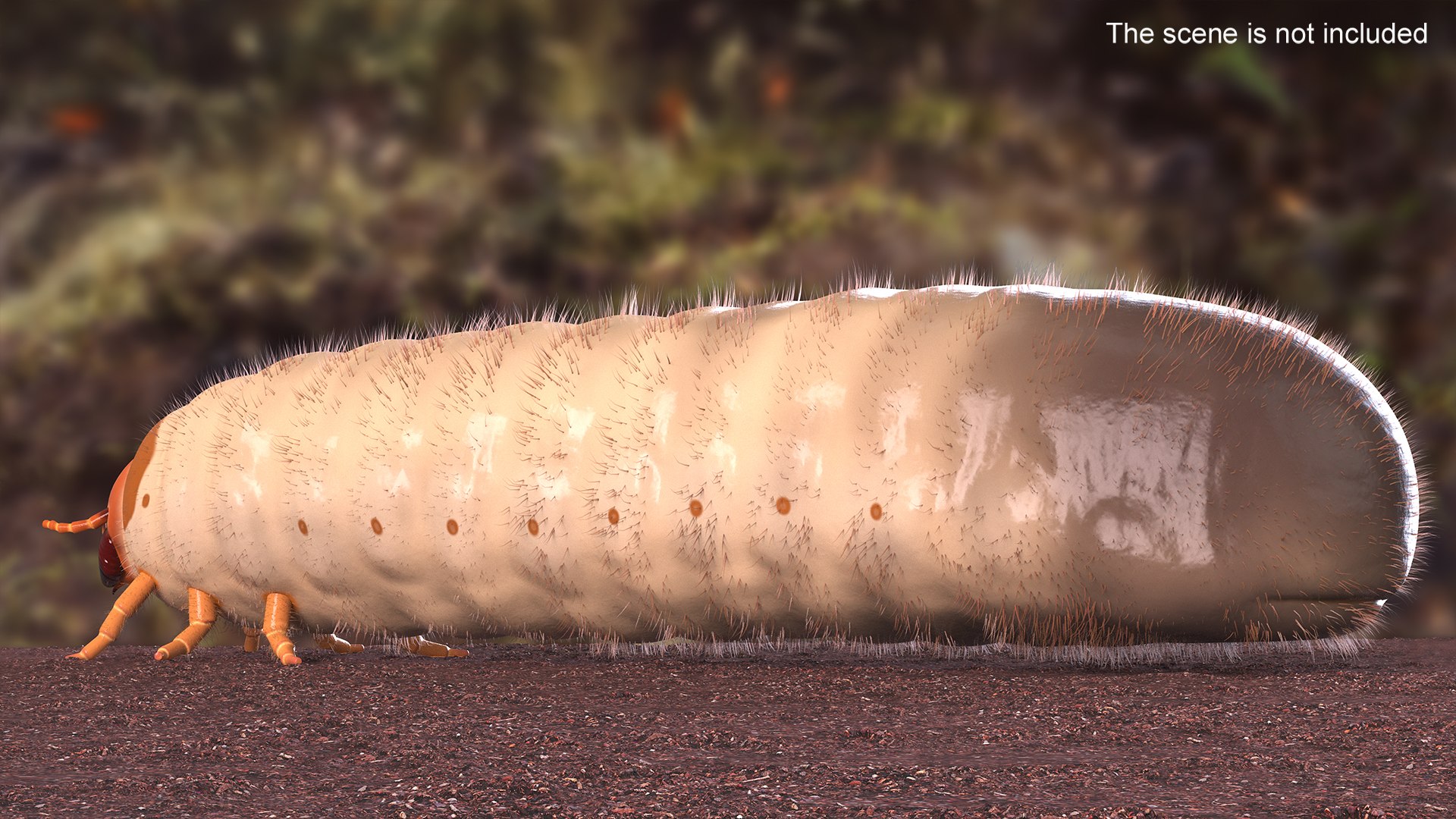 Maggot May Bug Fur 3D - TurboSquid 2164627