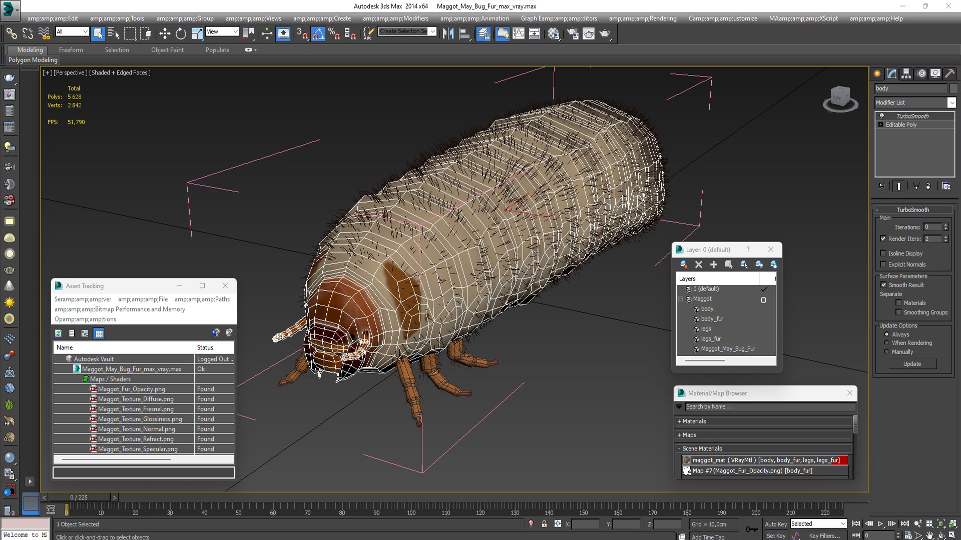 Maggot May Bug Fur 3D - TurboSquid 2164627