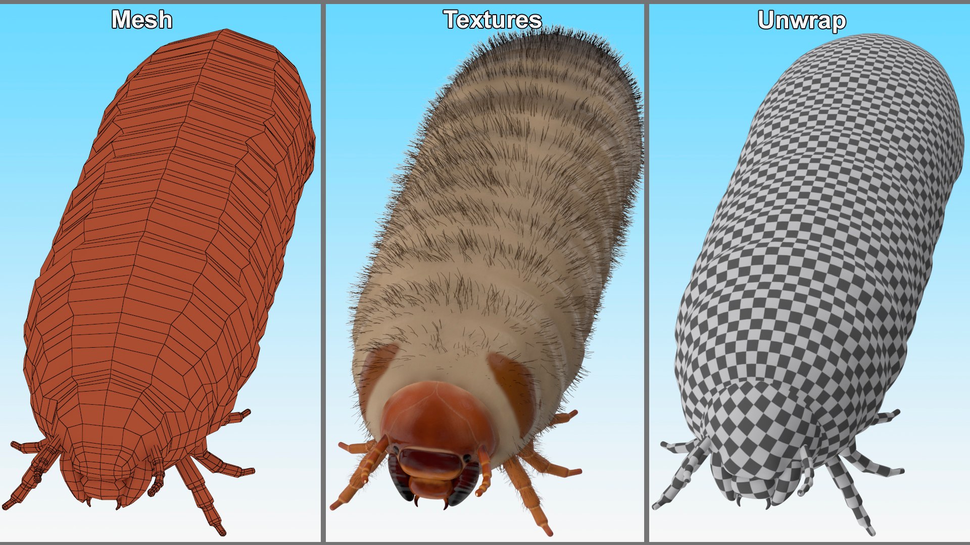 Maggot May Bug Fur 3D - TurboSquid 2164627