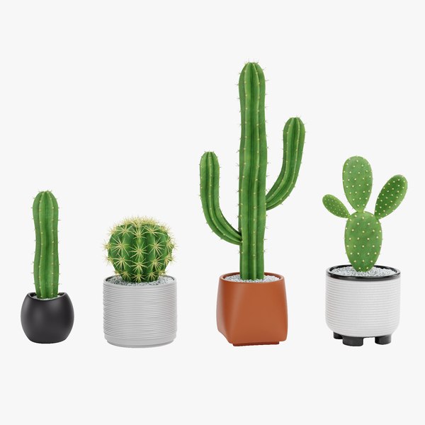 Free Cactus 3D Models for Download | TurboSquid