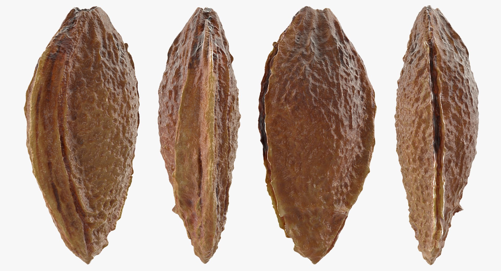 3D Plum Seed - TurboSquid 1211590