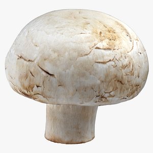 Download Free & Premium Button Mushroom 3D Models | TurboSquid