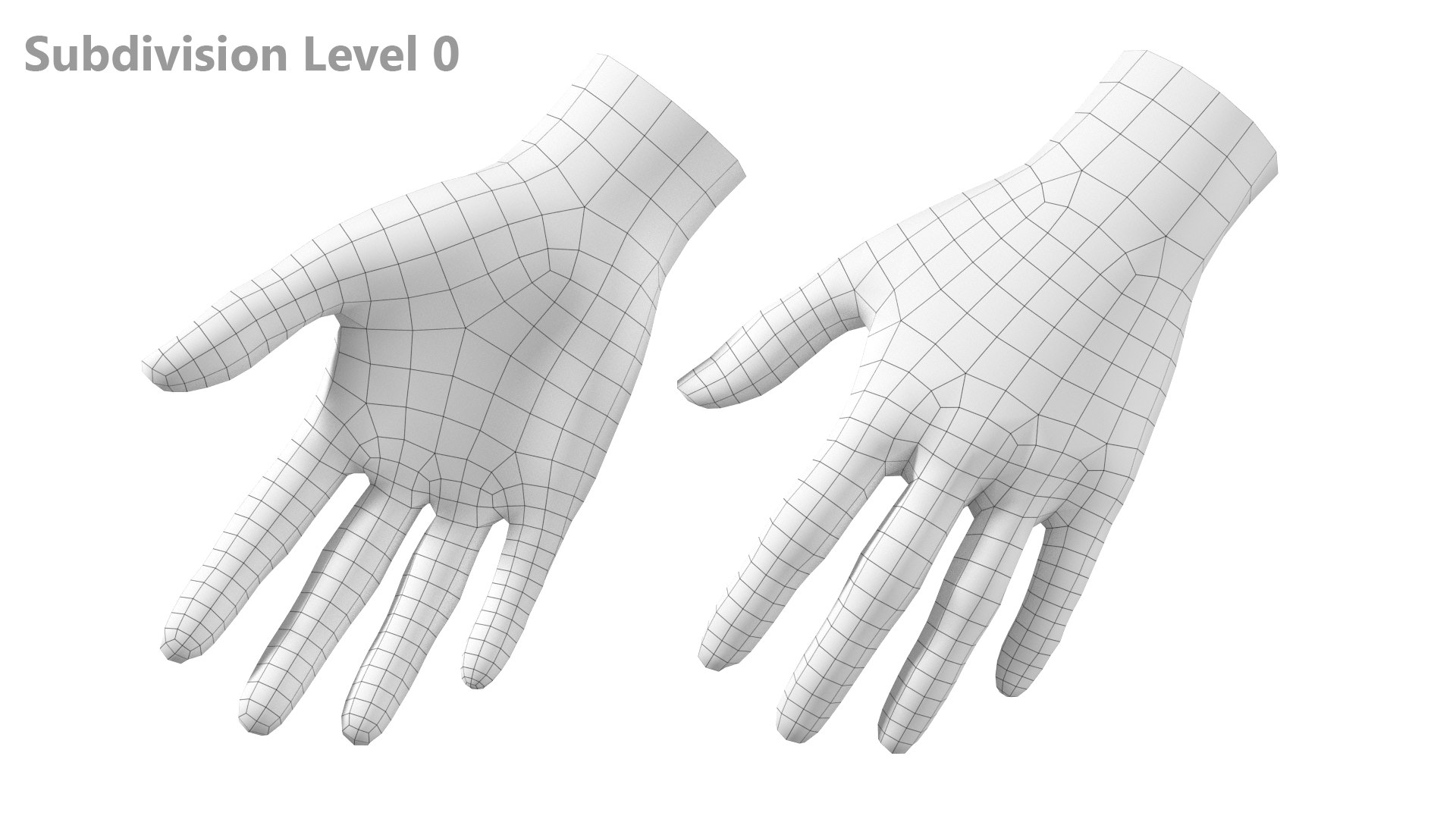3D Female Hand Base Mesh 06 - TurboSquid 2183492