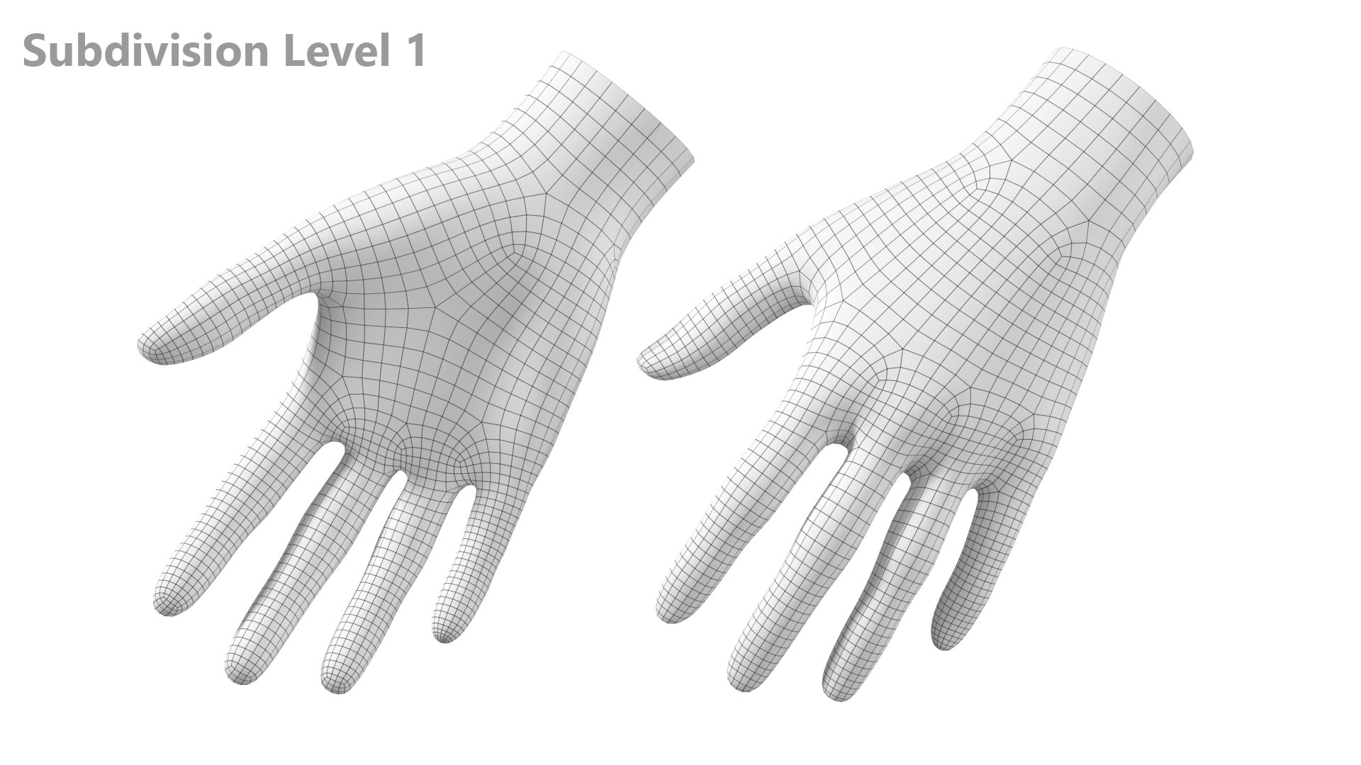 3D Female Hand Base Mesh 06 - TurboSquid 2183492