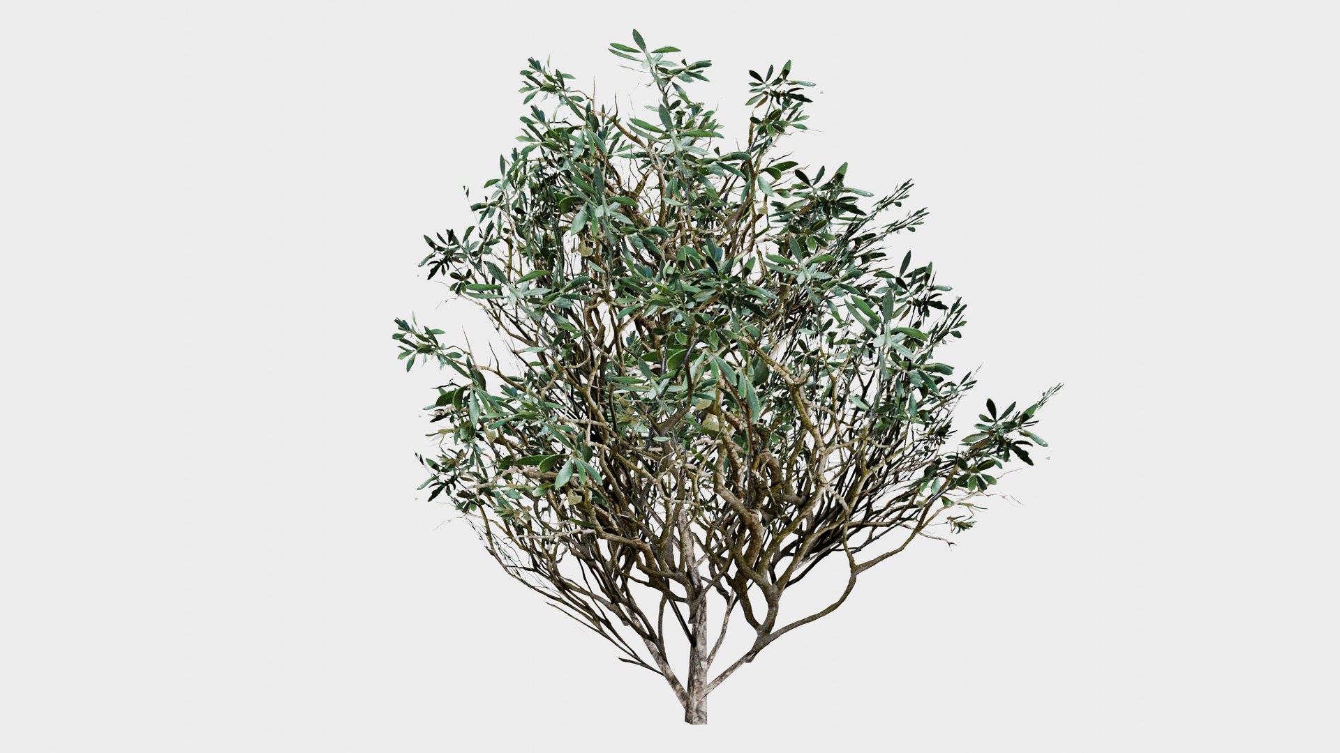 17 In 1 Bushes Collection 02 3D Model - TurboSquid 2389795