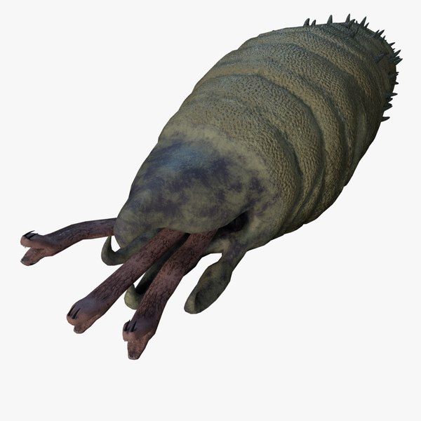 modelo 3d graboide - TurboSquid 2190439