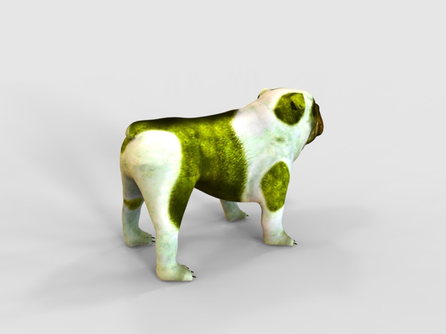 Bulldog Rigged 3d Fbx
