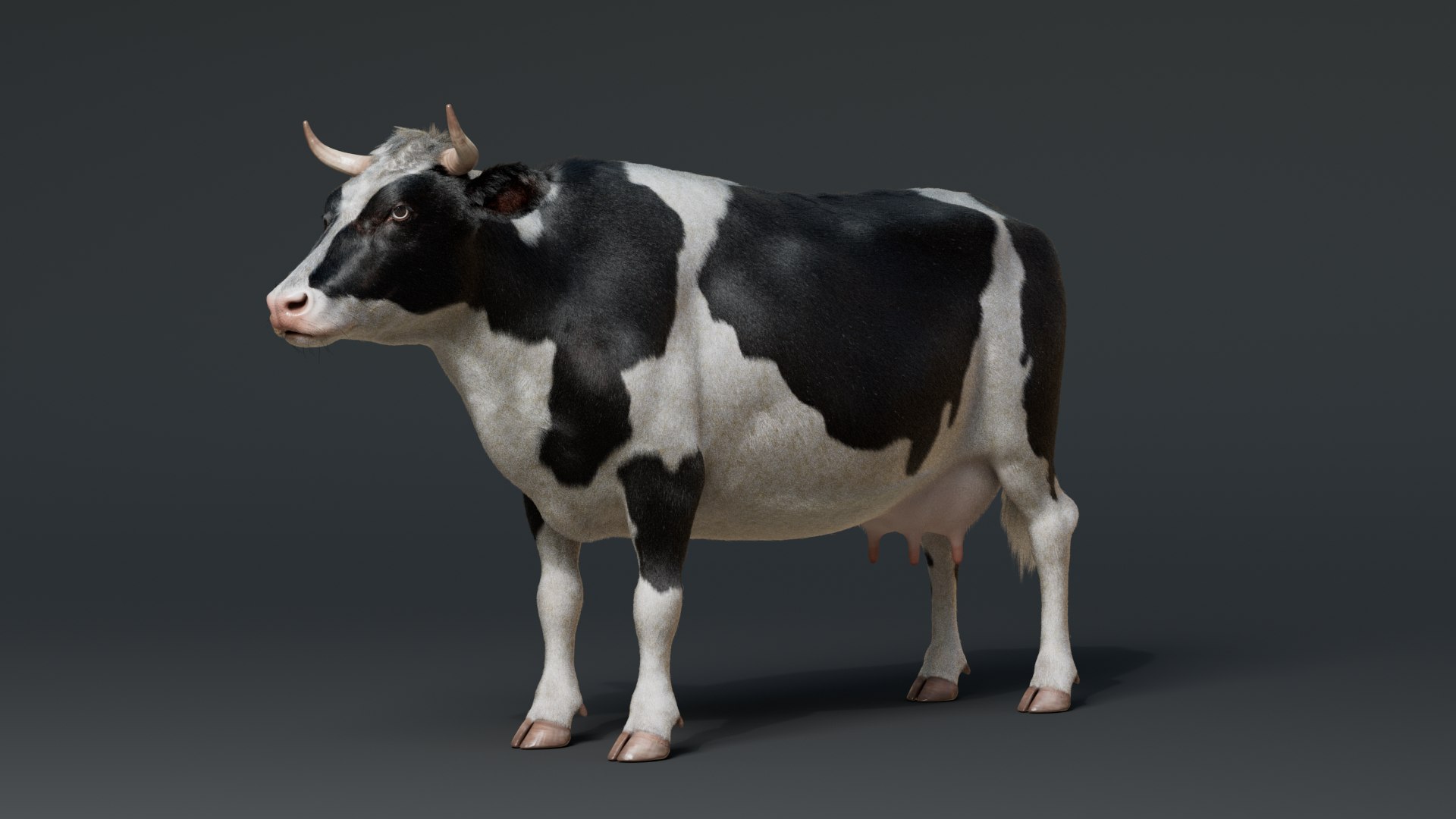 Cow With Fur 3 Textures 3D Model - TurboSquid 2082269