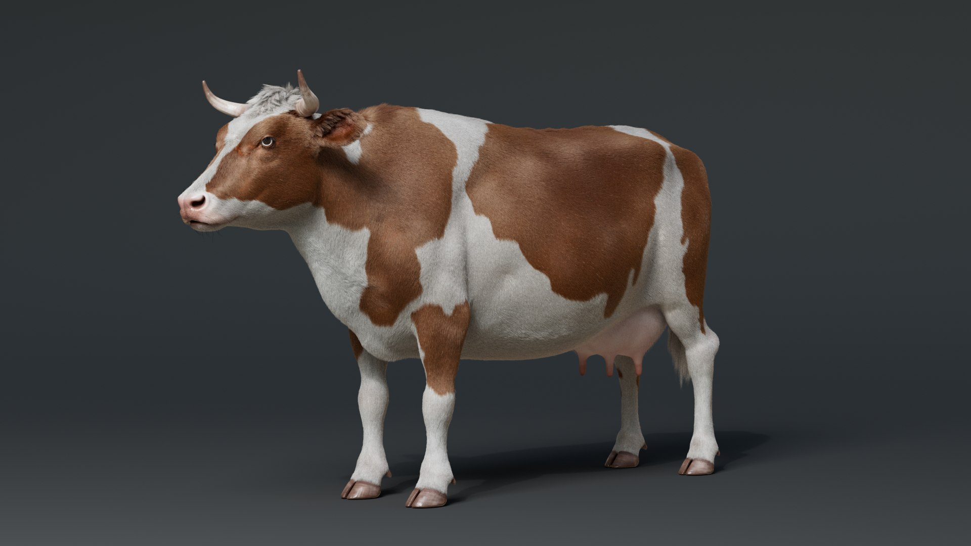 Cow With Fur 3 Textures 3D Model - TurboSquid 2082269