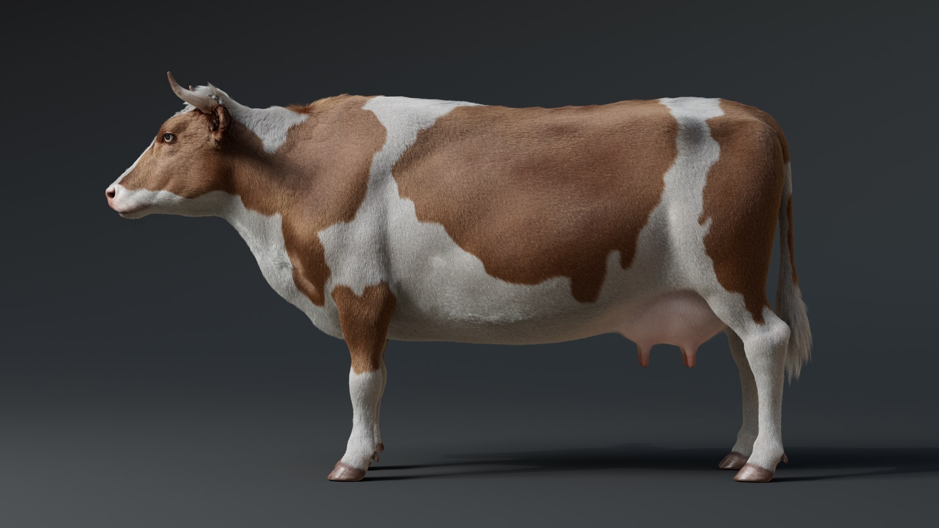 Cow With Fur 3 Textures 3D Model - TurboSquid 2082269