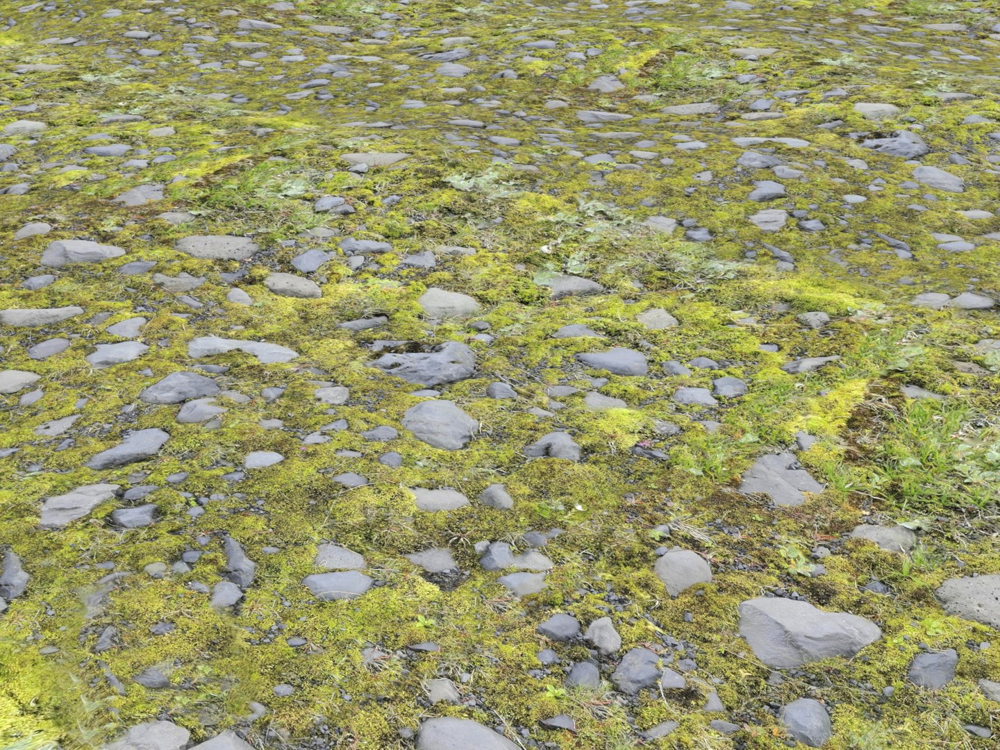 3D ground terrain iceland - TurboSquid 1711128