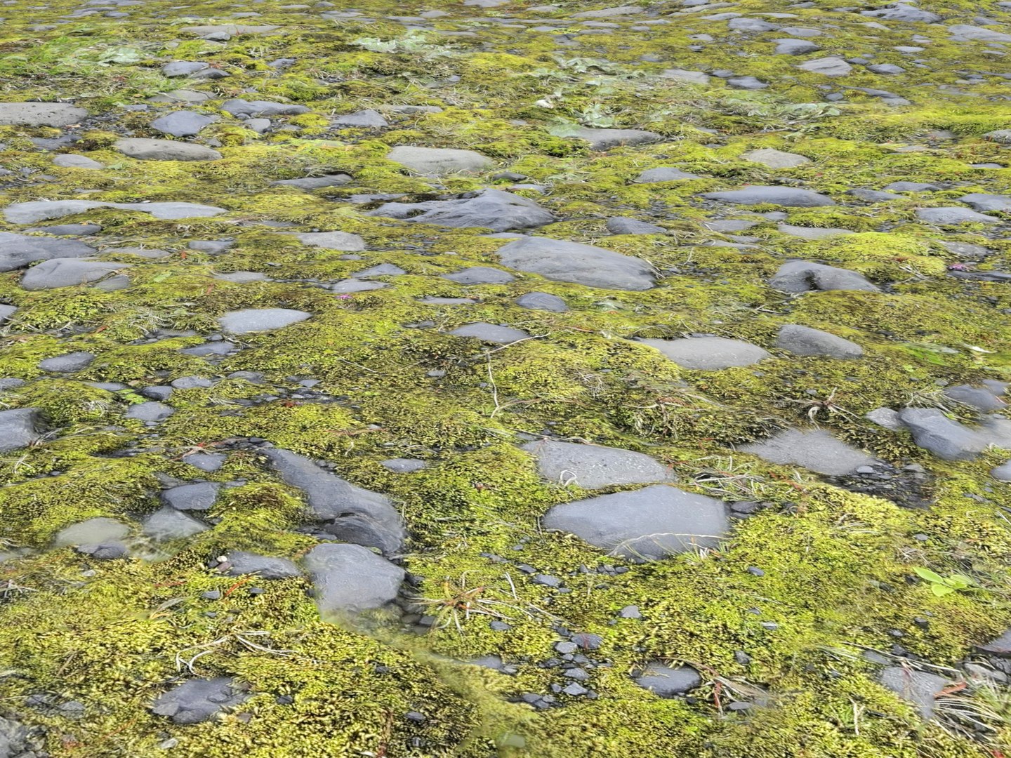 3D ground terrain iceland - TurboSquid 1711128