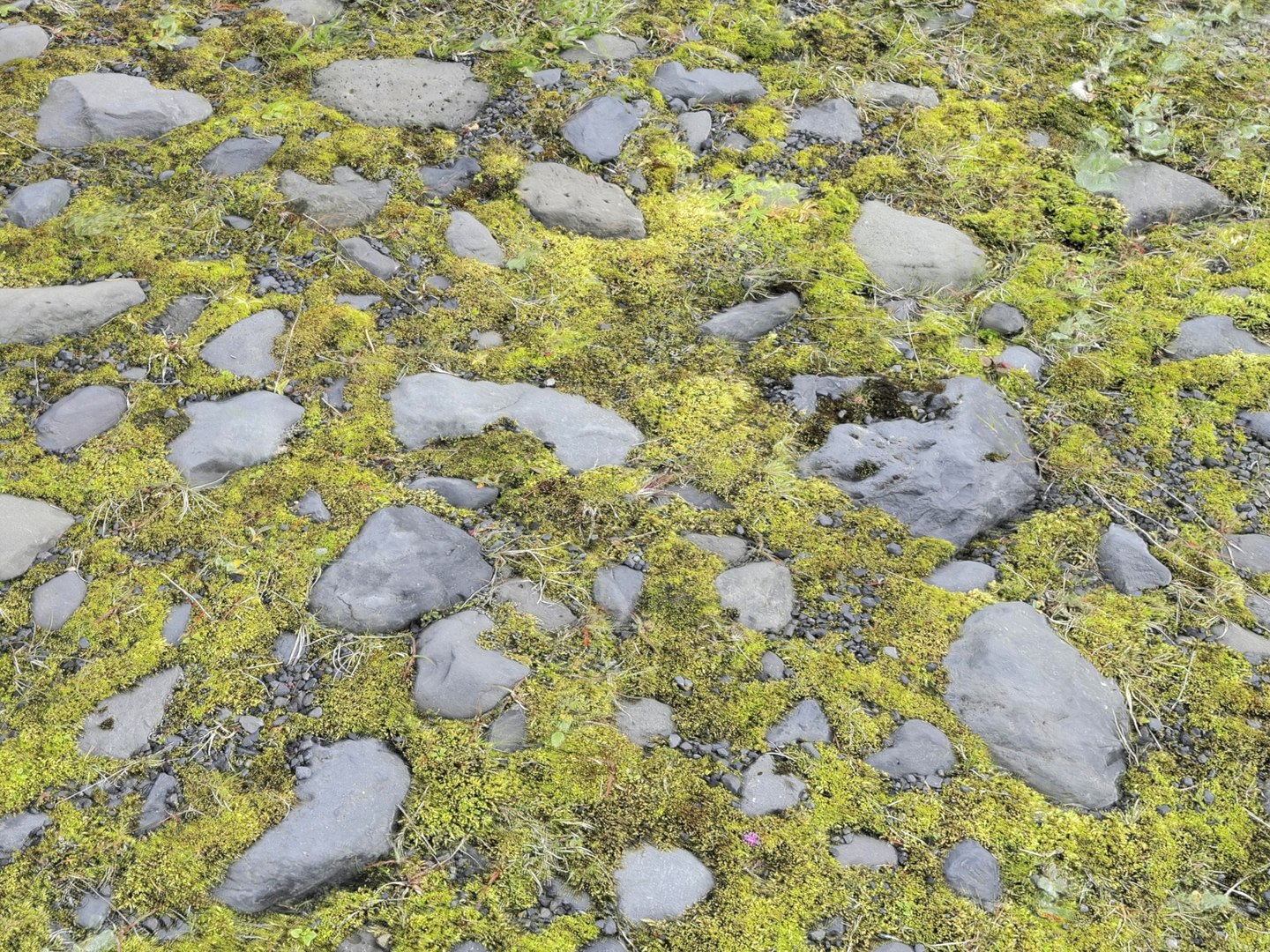 3D Ground Terrain Iceland - TurboSquid 1711128