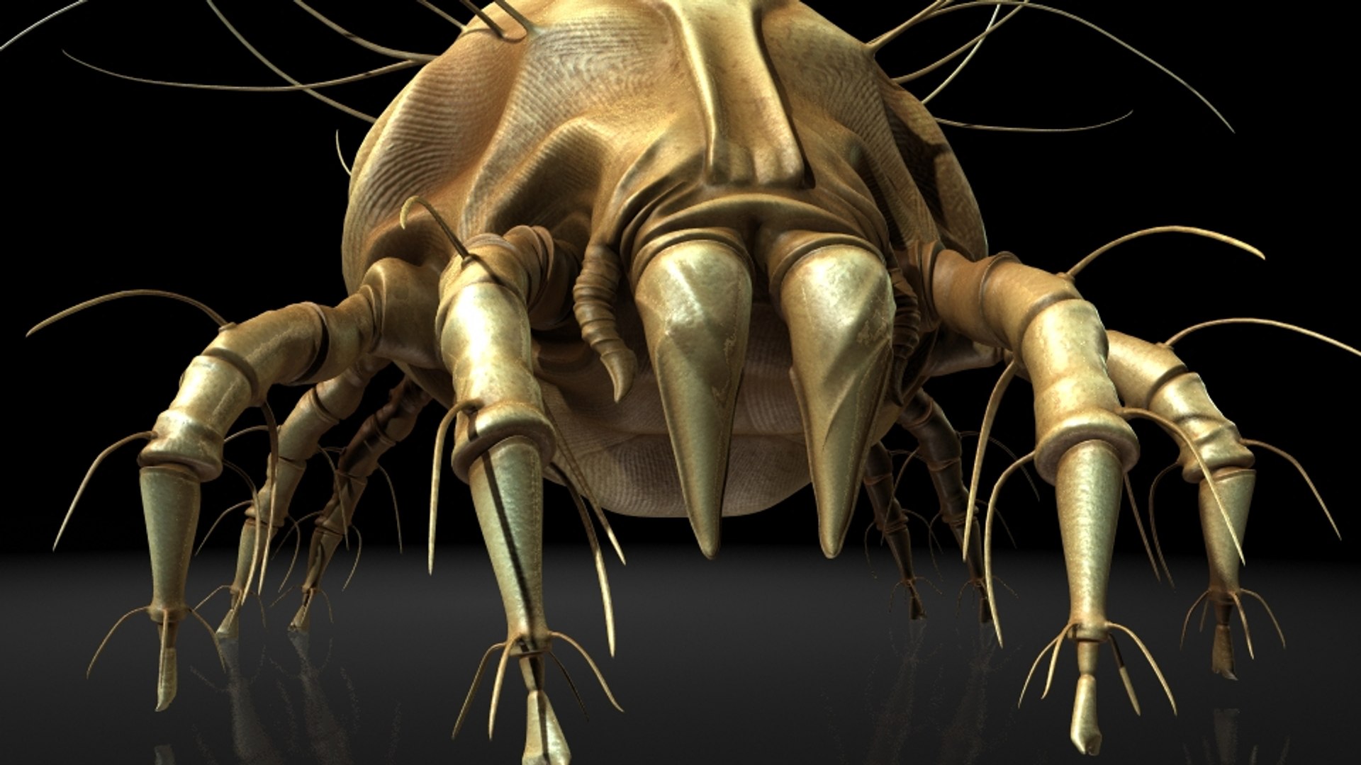 3D Insect - TurboSquid 1214356