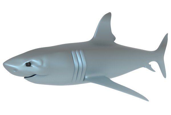 Free 3D Shark Models | TurboSquid
