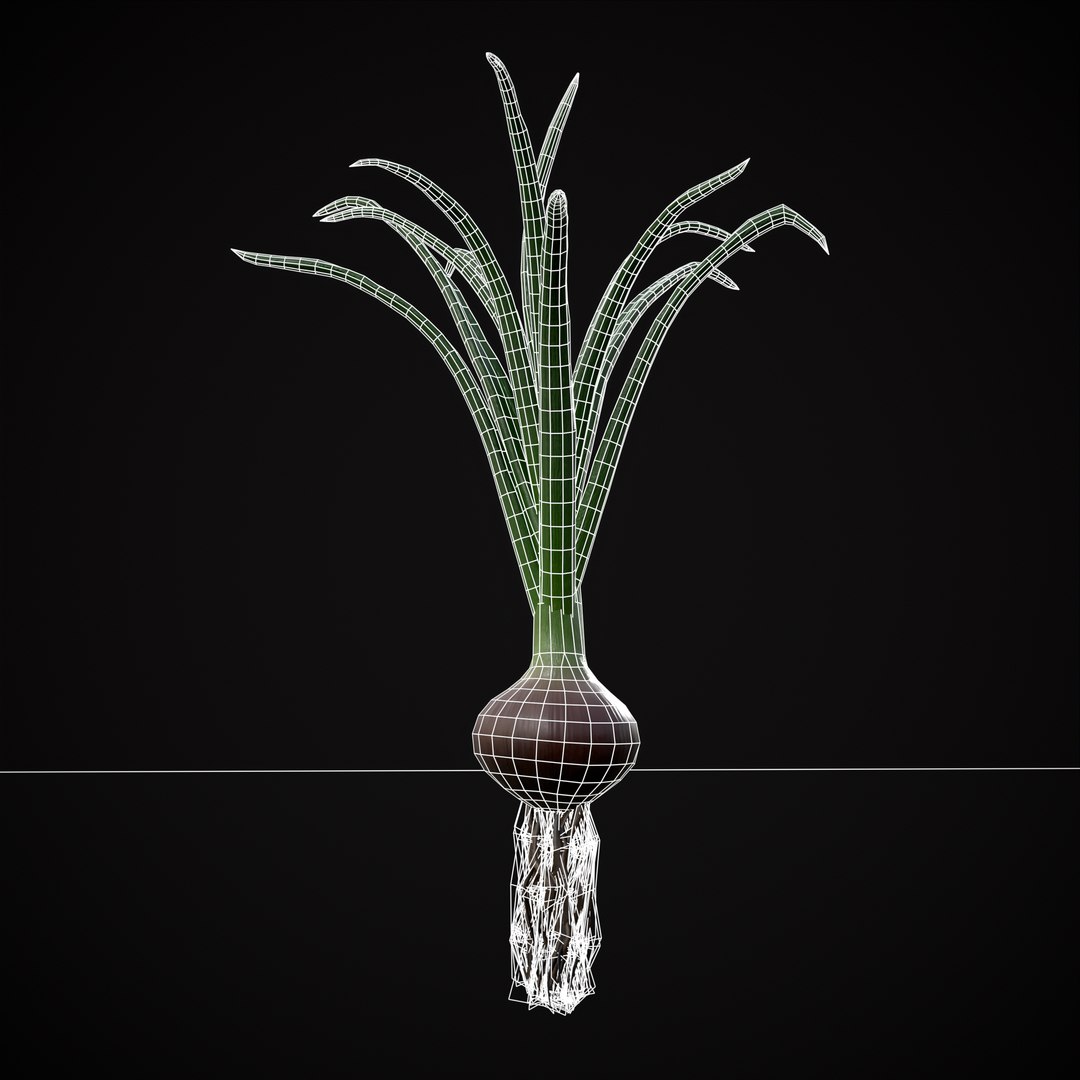 Red Onions 3D Model - TurboSquid 2203449