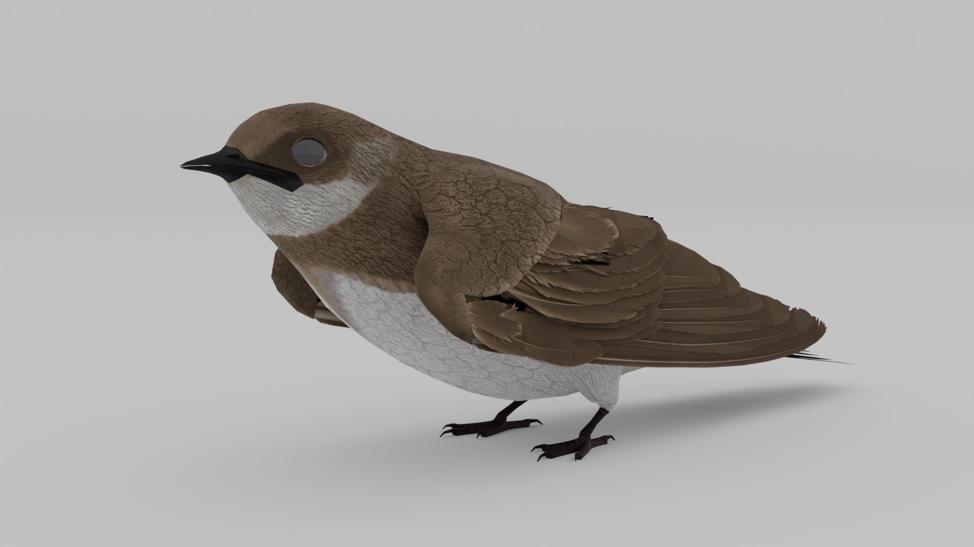 Detailed 3D Model Of A Bank Swallow Bird 3D Model - TurboSquid 2399969
