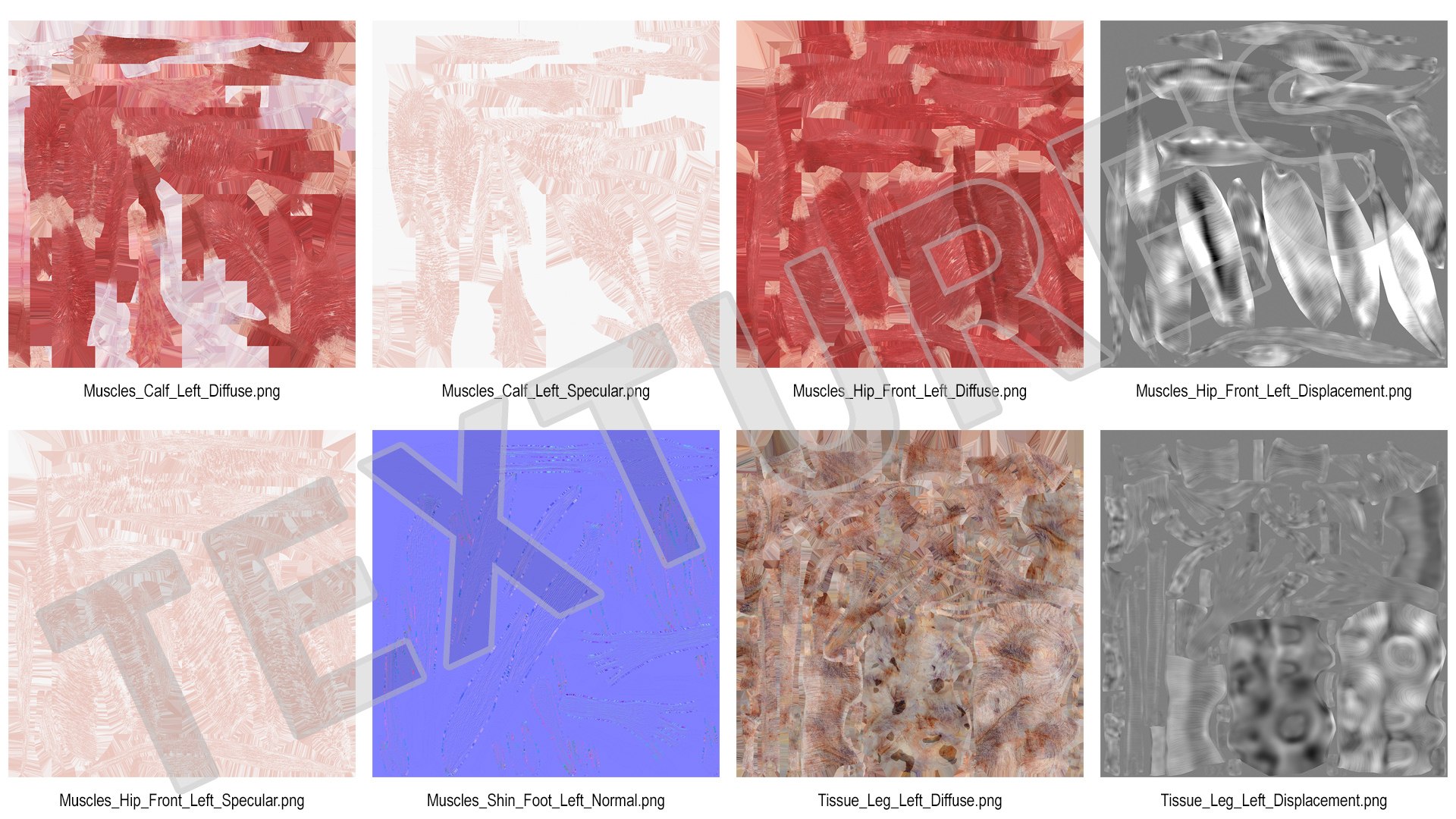 Male leg muscles bones human 3D model - TurboSquid 1466713